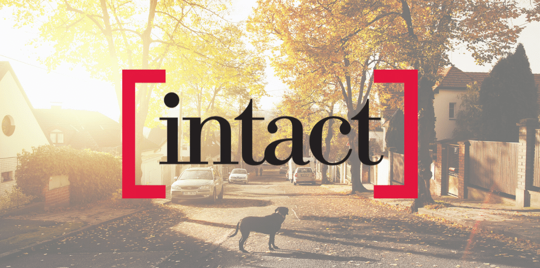 Protective Measures of Intact Company Against COVID-19